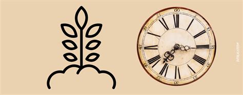 Explore Chinese Sign Language: Bridging Cultures - TheTalkList