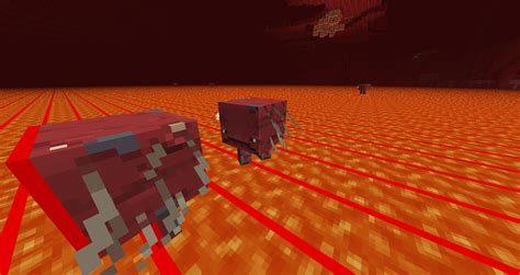 Image result for Minecraft Debug Texture