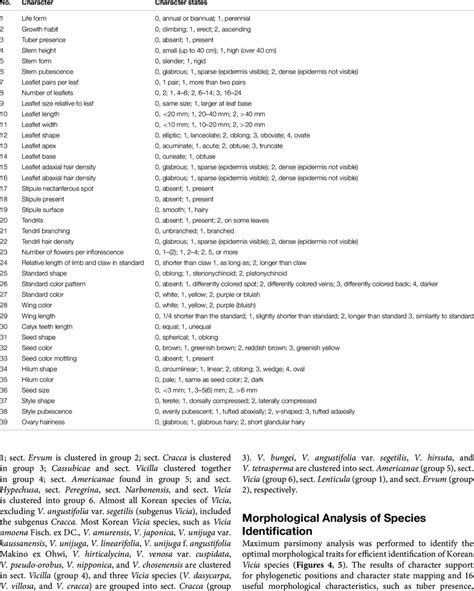 Image result for Morphological Characteristics Examples