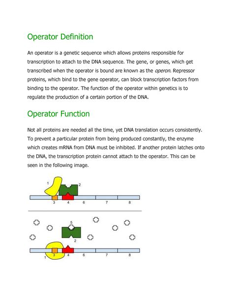 Image result for Operon vs Operator
