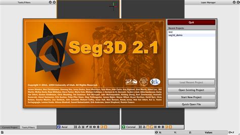 Image result for Seg3d Tutorial