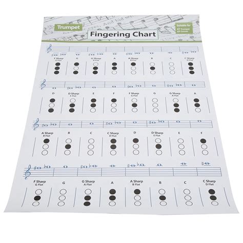 Image result for Longest Trumpet Note