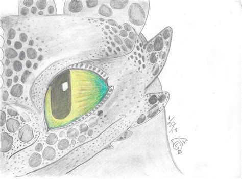 Image result for Toothless Side Profile