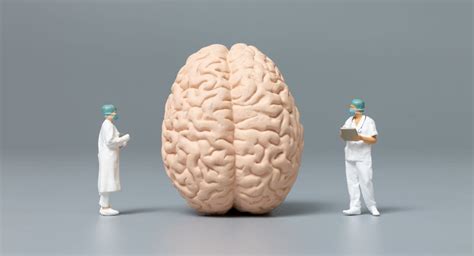 Image result for Cognitive Schema