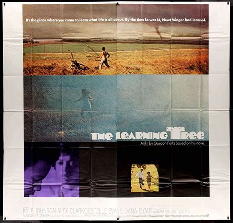 Image result for The Learning Tree Movie Cast