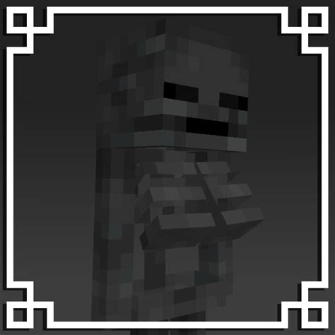 Image result for Wither Skeleton Armor Minecraft Java