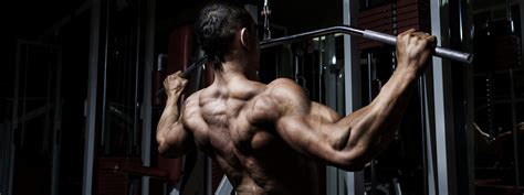 Image result for Upper-Back Exercises Summit