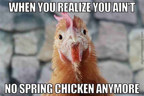 Image result for Spring Vivaldi Meme