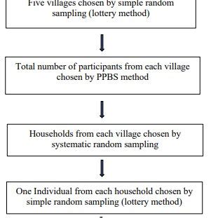 Image result for Sampling Technique Example