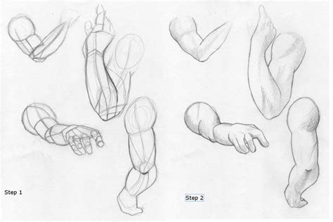 Image result for Arm Drawing Tutorial