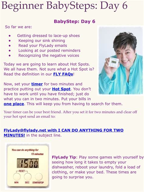 Image result for FlyLady Mini Calendar