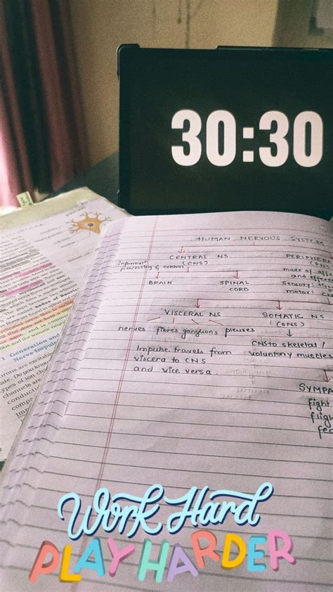 Image result for Timer Study Past