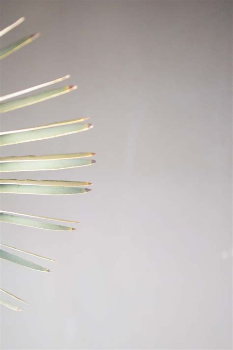 Image result for How to Create a Style Guide