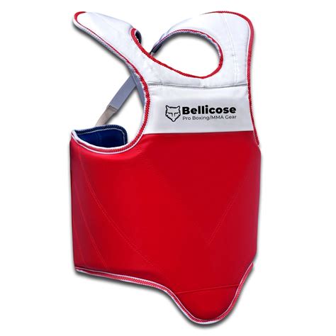 Image result for Boxing Chest Protector