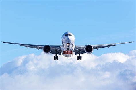 Image result for Fly Front View