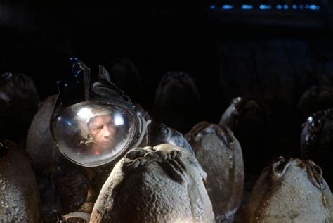 Image result for Alien Predator Egg