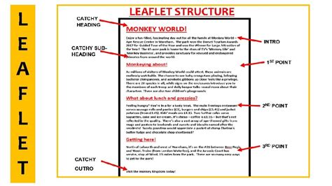 Image result for Leaflet Writing Example