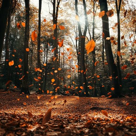 Image result for One Leaf Falling Image