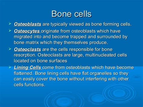 Image result for Major Events of Bone Formation