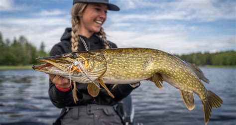 Image result for Fly Vision