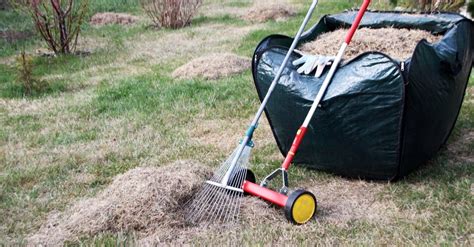 How To Use A Dethatching Rake - Trim That Weed