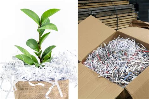Image result for Making Paper From Shredded Paper