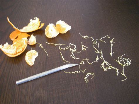 Image result for Model Scale Vines