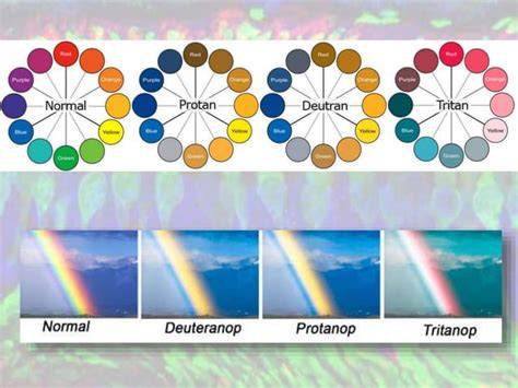 Image result for How to Perform Color Vision Test
