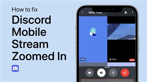 Image result for Discord High Resolution Streaming