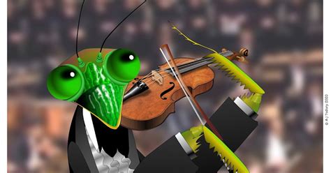 Image result for A Singer Insect