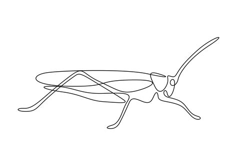 Image result for Grasshopper Pattern Line Design