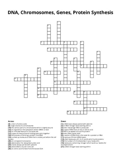 DNA, Chromosomes, Genes, Protein Synthesis Crossword Puzzle