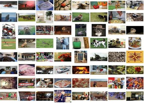 Image result for Image Net Data