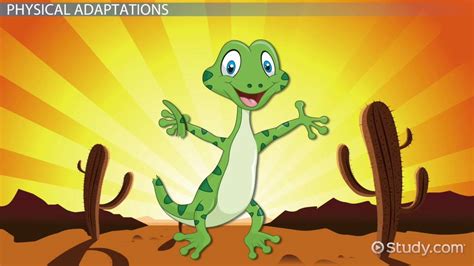 Lizard Adaptations: Lesson for Kids - Lesson | Study.com