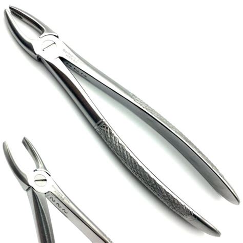 Image result for Extracting Forceps