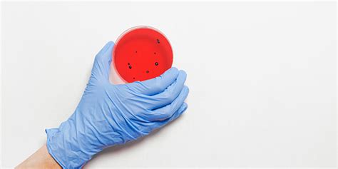 Image result for 7% H2O2 Fogging