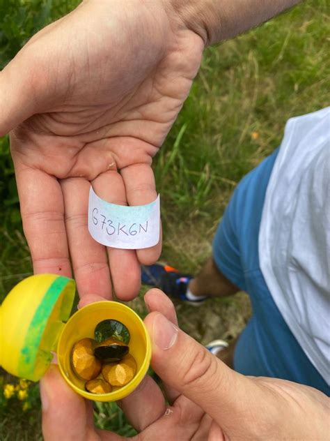 Image result for Cipher Hunt