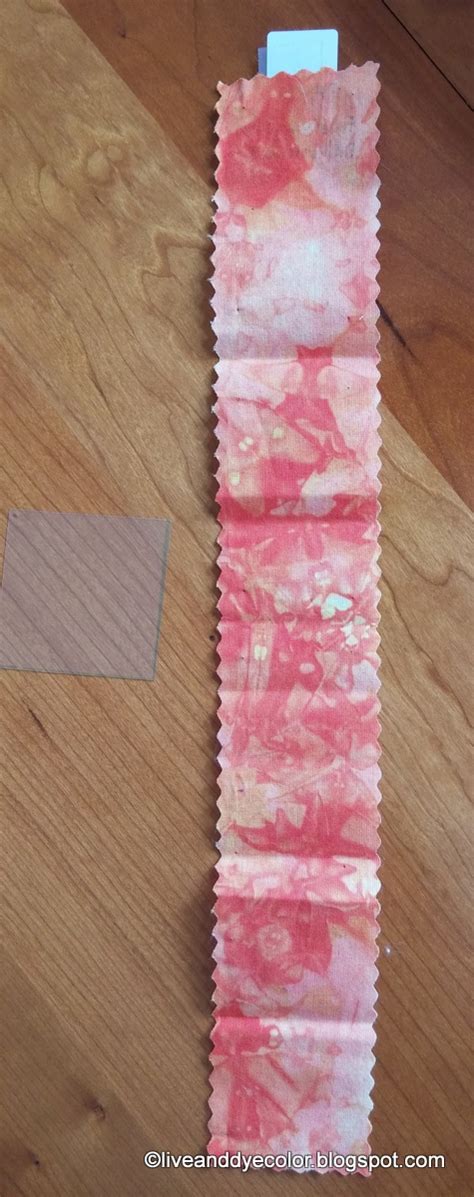 Image result for Color Chip for Dye Lab