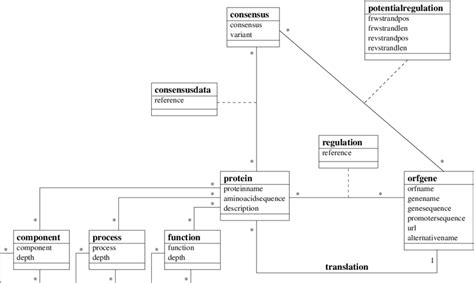 Image result for Database Entities