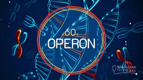 Image result for Operon