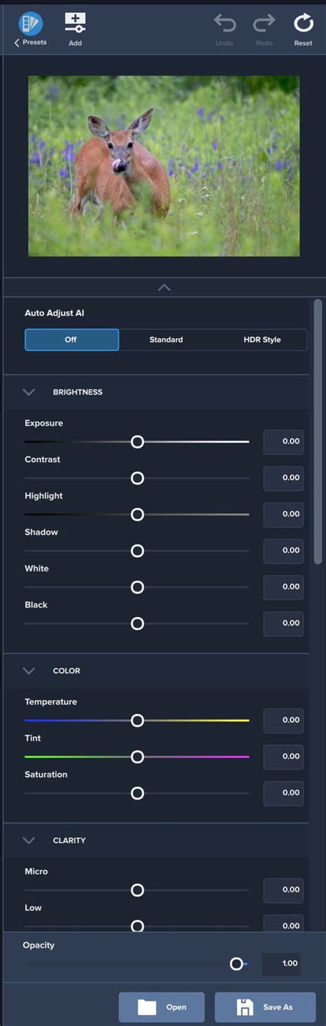 Image result for Topaz Adjust AI Tutorial