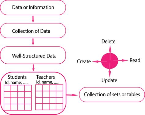 Image result for Examples of Database Management System