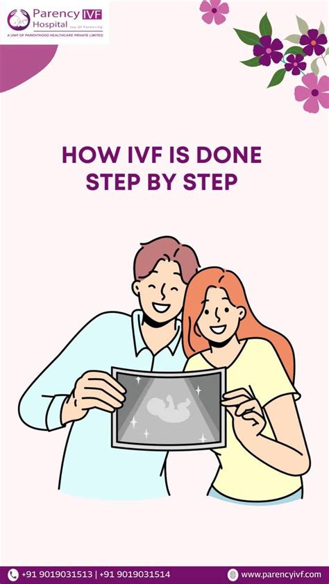 Image result for How Is IVF Done