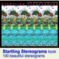 Image result for How to View Stereograms