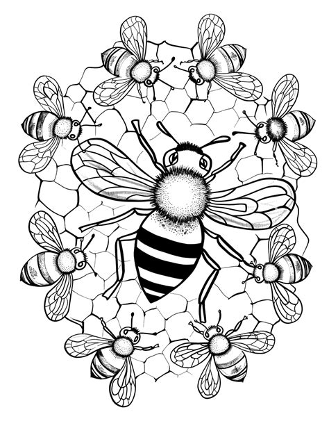 Image result for Spring Bee Coloring Pages