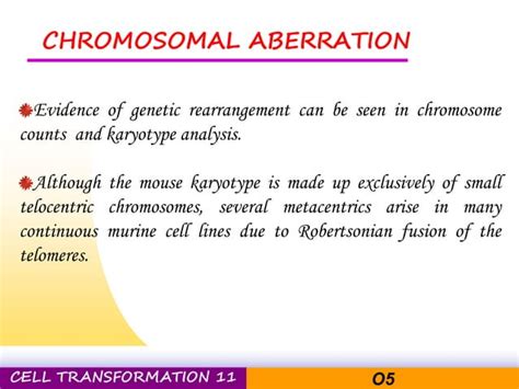 Image result for Cell Transformation