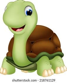 Image result for Turtle Cartoon