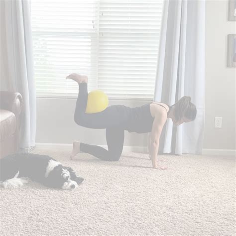 Image result for How to Use Mini Exercise Ball