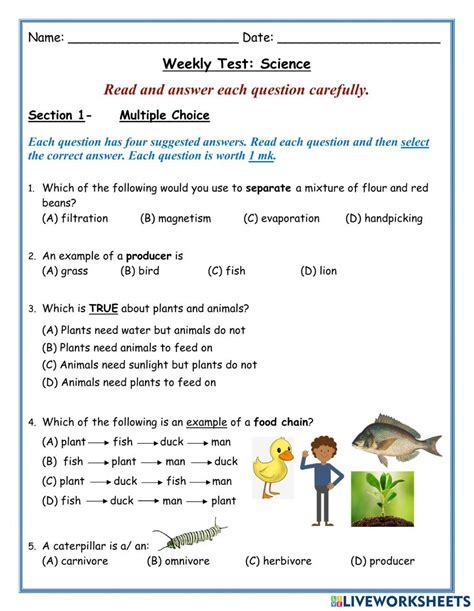 Image result for Freesciencelessons Exam Questions