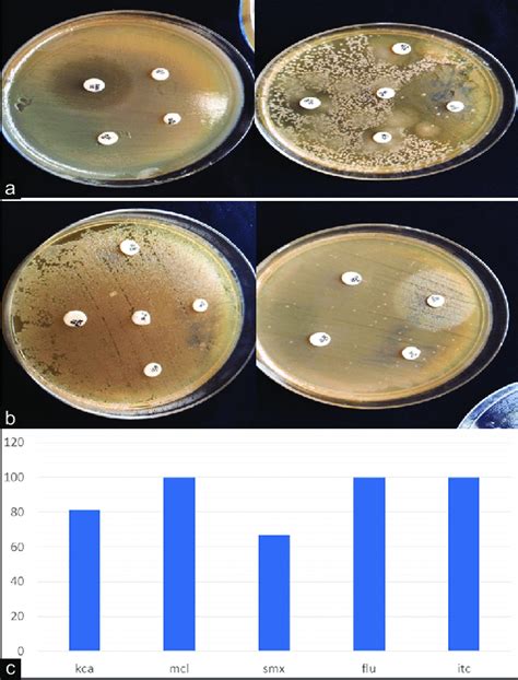 Image result for Disk Diffusion Method
